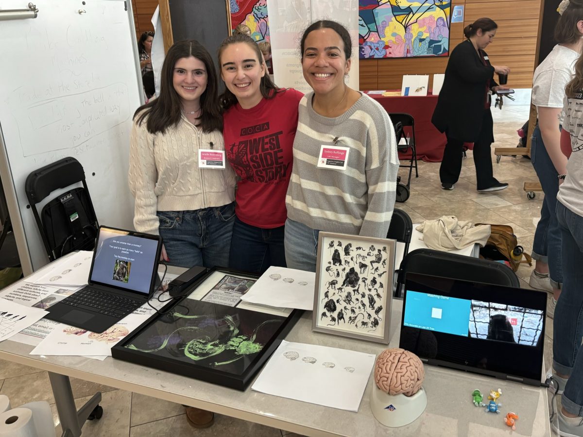Cognitive Origins Lab – UW–Madison